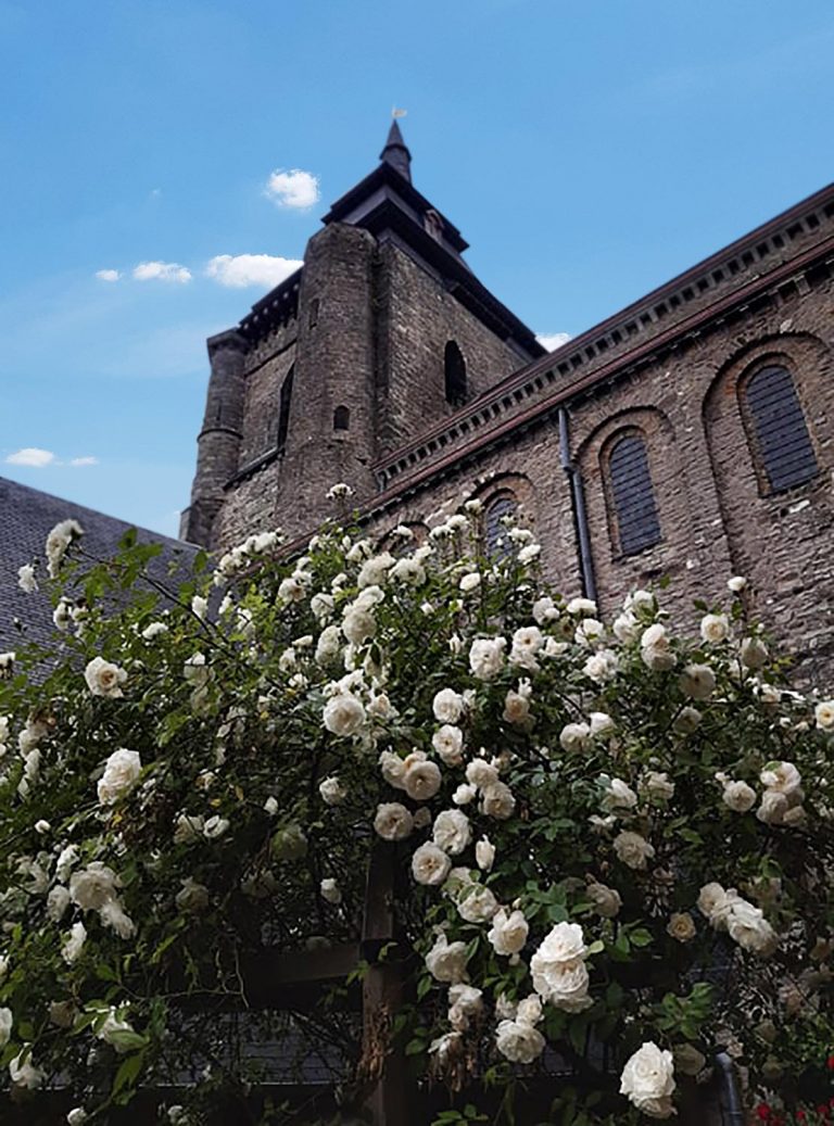L'écoquartier Les Aulnées est situé à Soignies